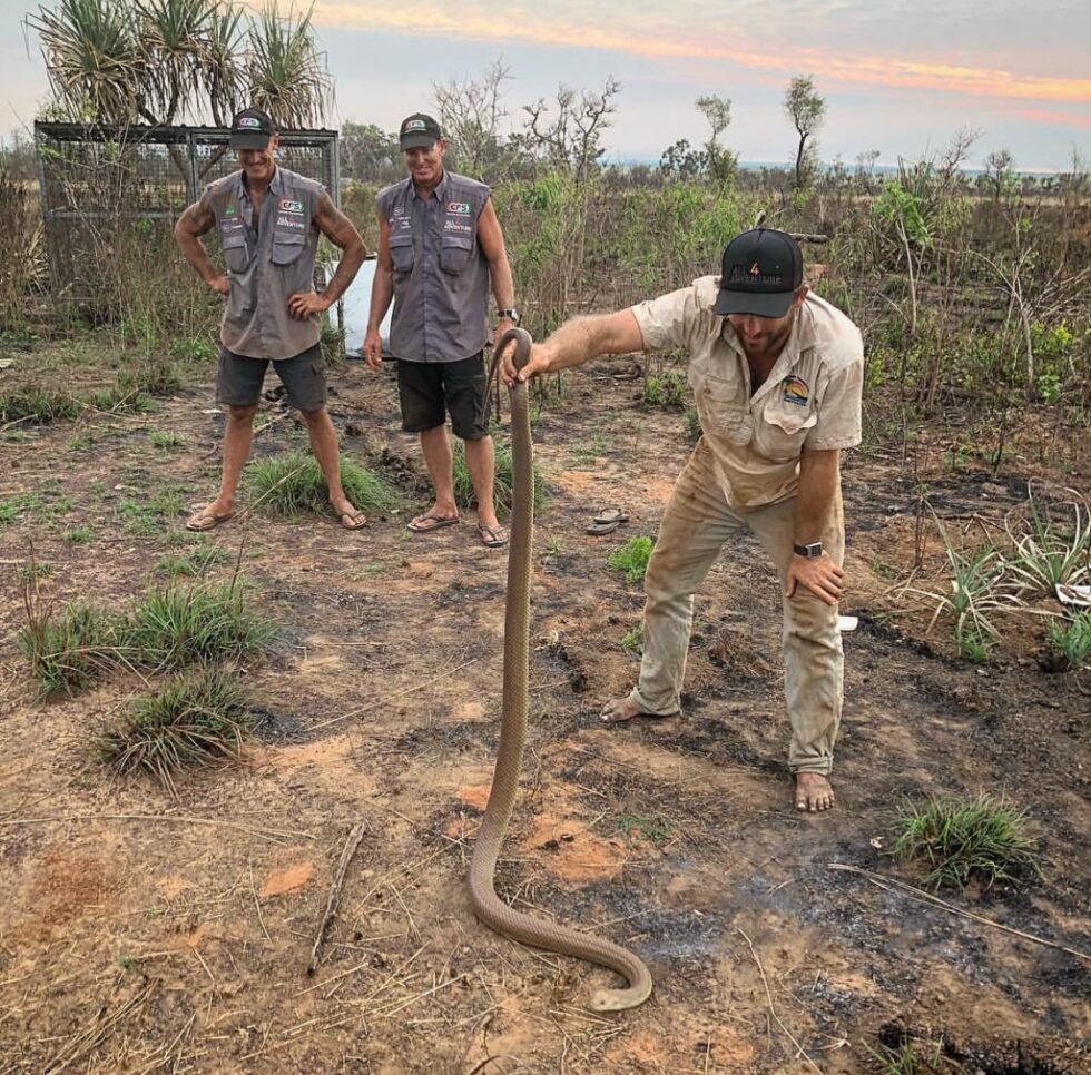 All 4 Adventure | Croc Country Australia